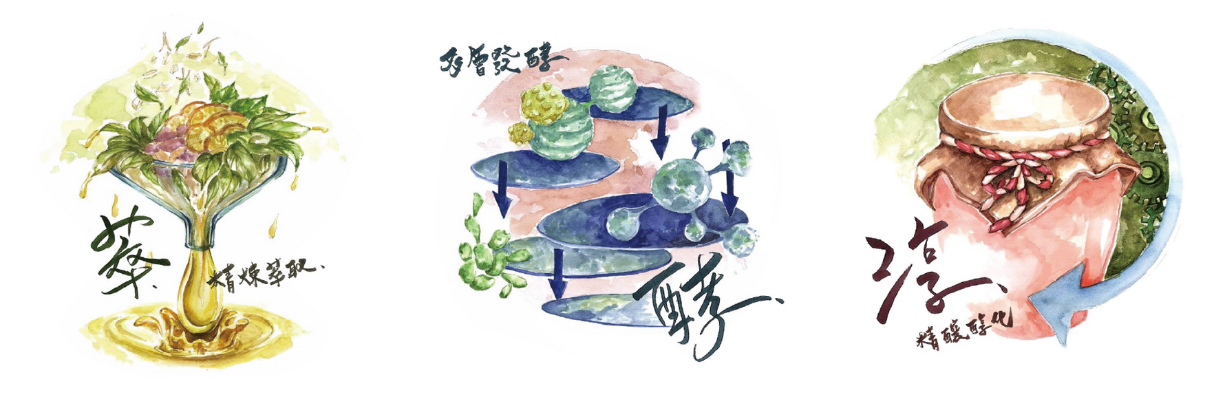 神・本草發酵液 – 食養時養 Dietary Wisdom